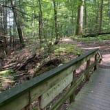 Northwest Park, Connecticut - 1,210 Reviews, Map | AllTrails