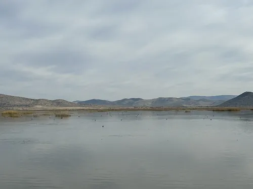 Best Hikes and Trails in Swan Lake Nature Study Area | AllTrails