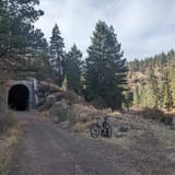 Bizz Johnson Trail, California - 186 Reviews, Map | AllTrails