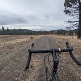Bizz Johnson Trail, California - 186 Reviews, Map | AllTrails