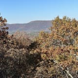 Devils Knob Loop, Arkansas - 215 Reviews, Map | AllTrails