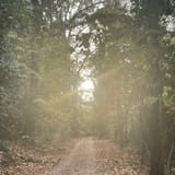 Vulcan Trail, Alabama - 637 Reviews, Map | AllTrails