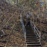 Moore Park Ravine Trail, Ontario, Canada - 1,217 Reviews, Map | AllTrails