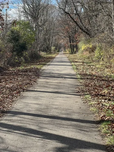 Best Hikes and Trails in Mike Levine Lakelands Trail State Park | AllTrails