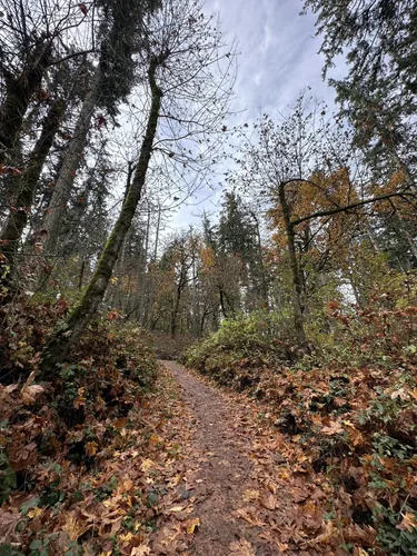 Best Hikes and Trails in Hendricks Park | AllTrails