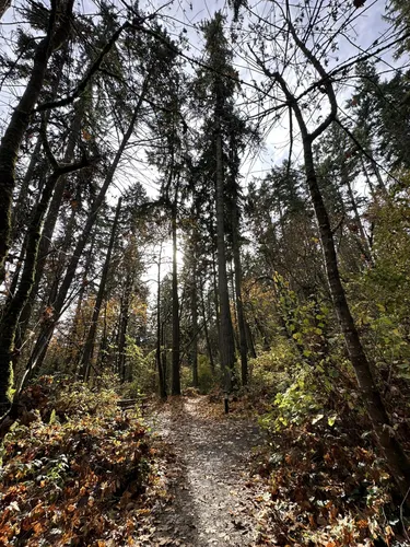 Best Hikes and Trails in Hendricks Park | AllTrails