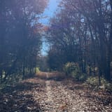 Busch Wildlife Biking-Hiking Trail, Missouri - 728 Reviews, Map | AllTrails