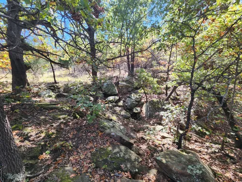 Best Hikes and Trails in Keystone State Park | AllTrails