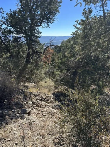 2023 Best Waterfall Trails in Cedar Crest | AllTrails