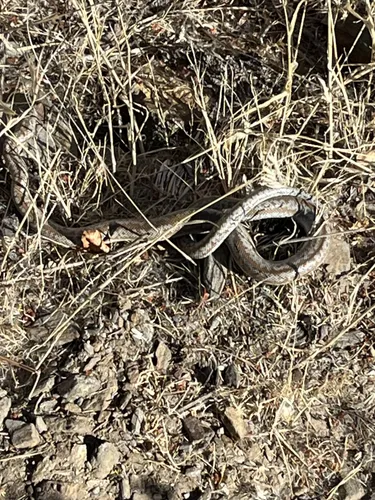 Best Hikes and Trails in Julian County Park | AllTrails