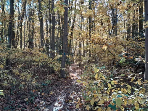 2023 Best Trail Running Trails in Sparrows Point | AllTrails