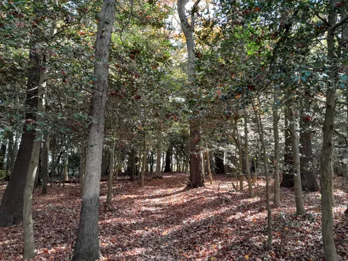 2023 Best Trail Running Trails in Sparrows Point | AllTrails