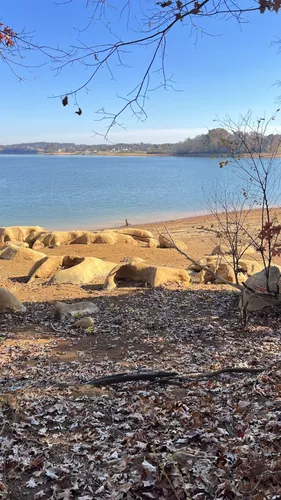 2023 Best Walking Trails in Bean Station | AllTrails