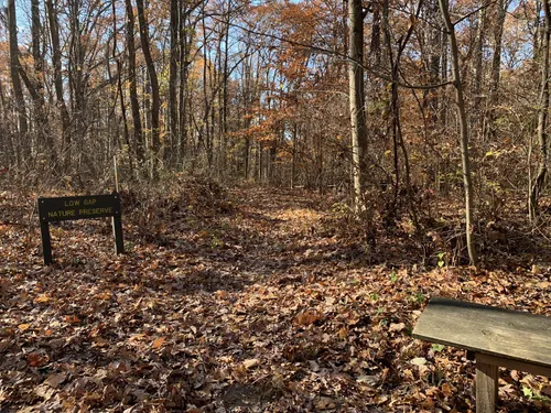 2023 Best Long Trails in Morgan Monroe State Forest | AllTrails