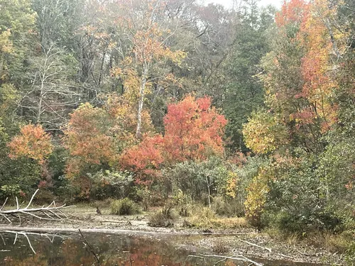 Best Hikes and Trails in Ellerslie Park | AllTrails