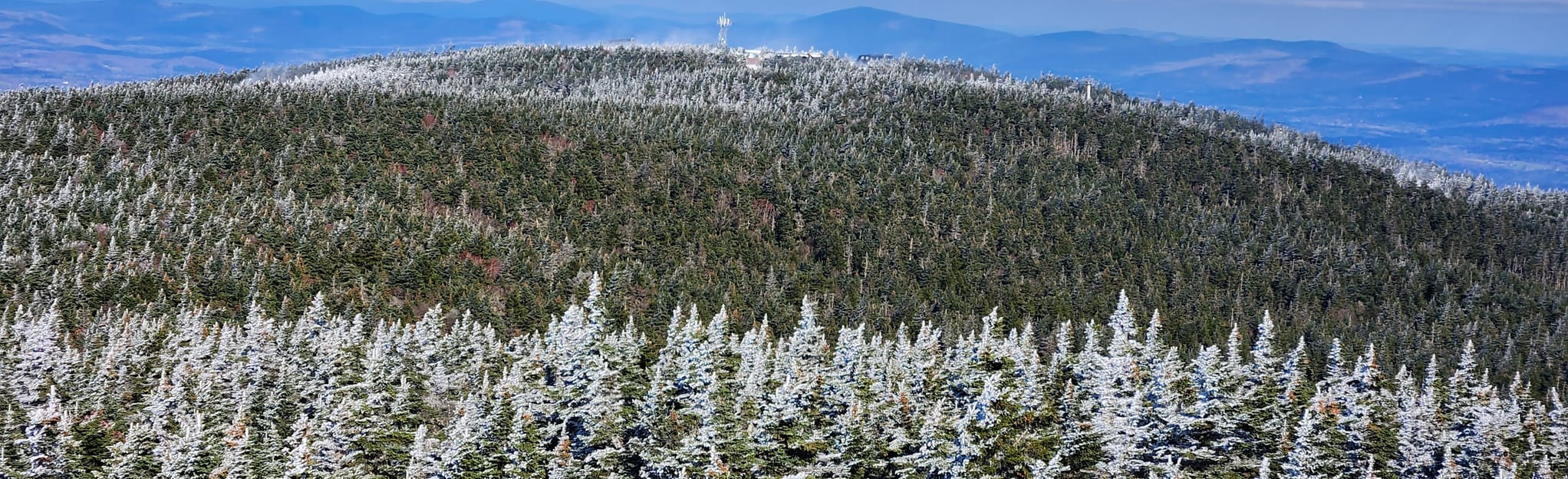 Stratton Mountain via Long Trail, Vermont - 734 Reviews, Map | AllTrails