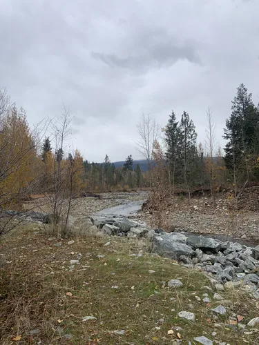 2023 Best Walking Trails in Mission Creek Regional Park | AllTrails