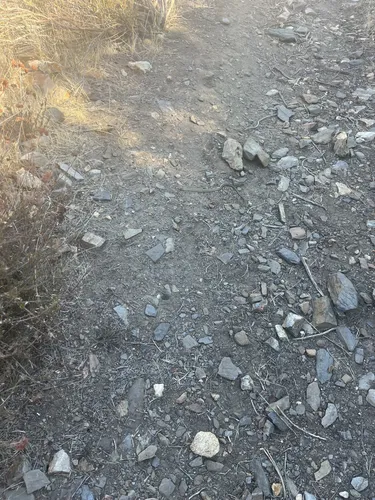 Best Hikes and Trails in Julian County Park | AllTrails