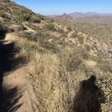 Hawes Loop Trail via N Usery Pass Rd, Arizona - 697 Reviews, Map ...