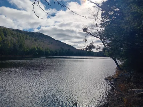 2023 Best Camping Trails in Mount Tabor | AllTrails