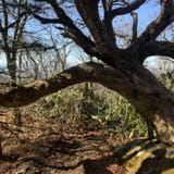 Bullhead Mountain From Graybeard Mountain Overlook, North Carolina ...