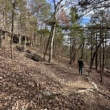 Alley Spring Overlook Trail, Missouri - 341 Reviews, Map | AllTrails