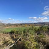 Halton Forest Bruce Trail Loop via Britton Tract (Long Option), Ontario ...