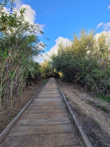 Best Hikes and Trails in Tijuana River Valley Regional Park | AllTrails