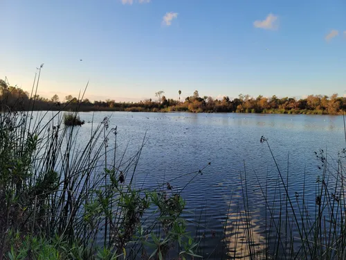 Best Hikes and Trails in Tijuana River Valley Regional Park | AllTrails
