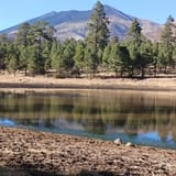 Schultz Creek Trail, Arizona - 437 Reviews, Map | AllTrails
