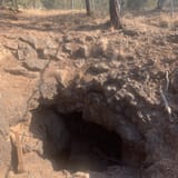 Ice Cave via Blue Ridge Cave Trail No. 608, Arizona - 525 Reviews, Map ...