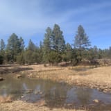 Ice Cave via Blue Ridge Cave Trail No. 608, Arizona - 525 Reviews, Map ...