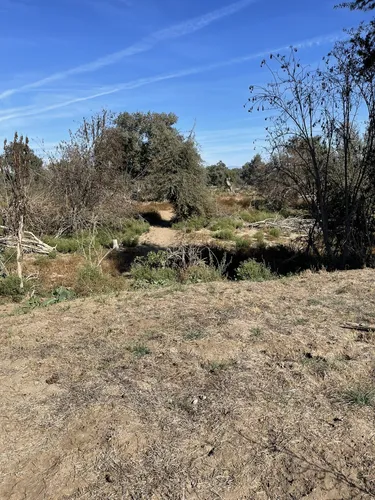 Best Hikes and Trails in Kaweah Oaks Preserve | AllTrails