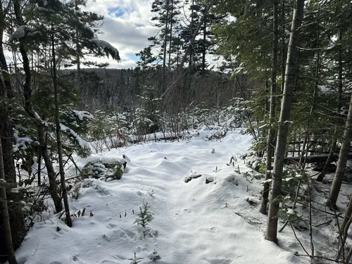 10 Best Off Road Driving Trails in Quebec | AllTrails