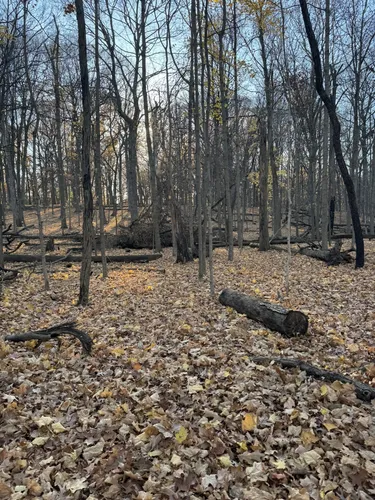 Best Hikes and Trails in Gilbert Park | AllTrails