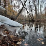 Bonner Park Loop, Pennsylvania - 305 Reviews, Map | AllTrails