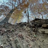 Bonner Park Loop, Pennsylvania - 305 Reviews, Map | AllTrails