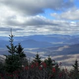 Devil's Path East to West, New York - 235 Reviews, Map | AllTrails
