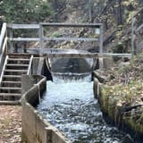 Lyons Dam, California - 561 Reviews, Map | AllTrails