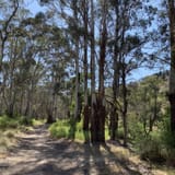 Organ Pipes, Rosette Rock and Tesselated Pavement Circuit, Victoria ...