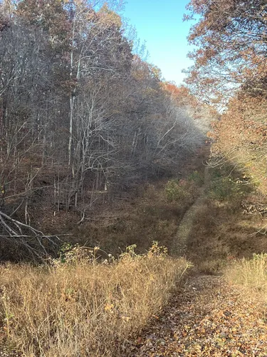 Best Hikes and Trails in Kenlake State Resort Park | AllTrails