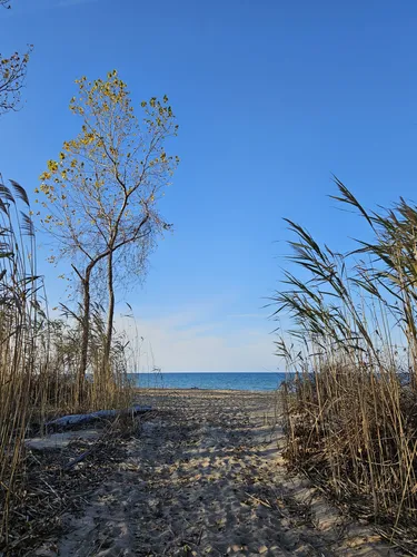Best Hikes and Trails in Presque Isle State Park | AllTrails