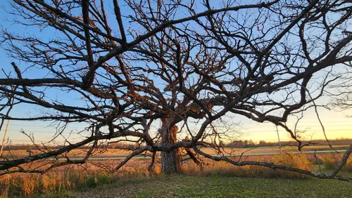Best Hikes and Trails in Wolf Oak Woods Preserve | AllTrails