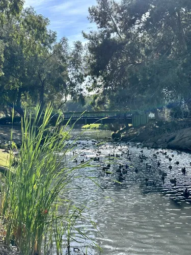 Best Hikes and Trails in Richard Bard Bubbling Springs | AllTrails