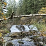Sunset Falls, Washington - 55 Reviews, Map | AllTrails