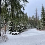 Mount Kit Carson Loop Road, Trail 140 and Trail 110 Loop, Washington ...