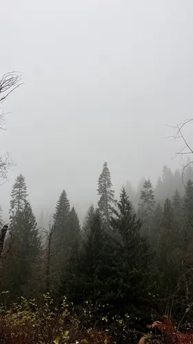 Best River Trails in Rathdrum | AllTrails Best River Trails in Rathdrum | AllTrails
