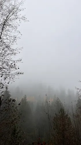 Best River Trails in Rathdrum | AllTrails Best River Trails in Rathdrum | AllTrails
