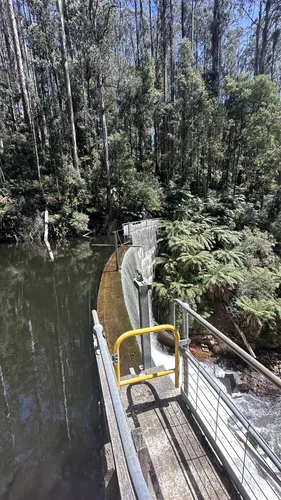 Rubicon Valley Historic and Cultural Features Reserve: de beste routes ...