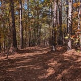 Dam Road, Issaqueena, Rocky and Collarbone Trail, South Carolina ...